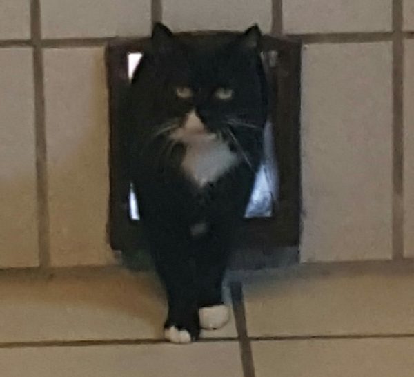 Jerry traut sich noch nicht wirklich, vermittelt 22.05.2017 zusammen ...