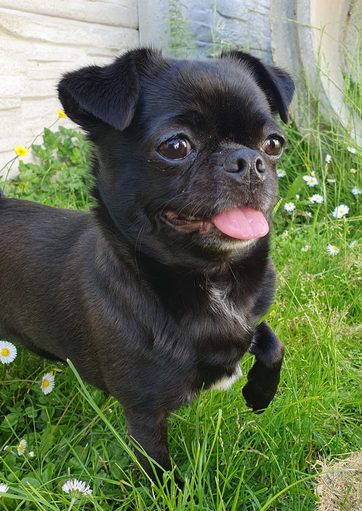 Lotte & Maja ... Chaos hoch zwei - vermittelt 22.08.2023 | TIERHEIM MOERS