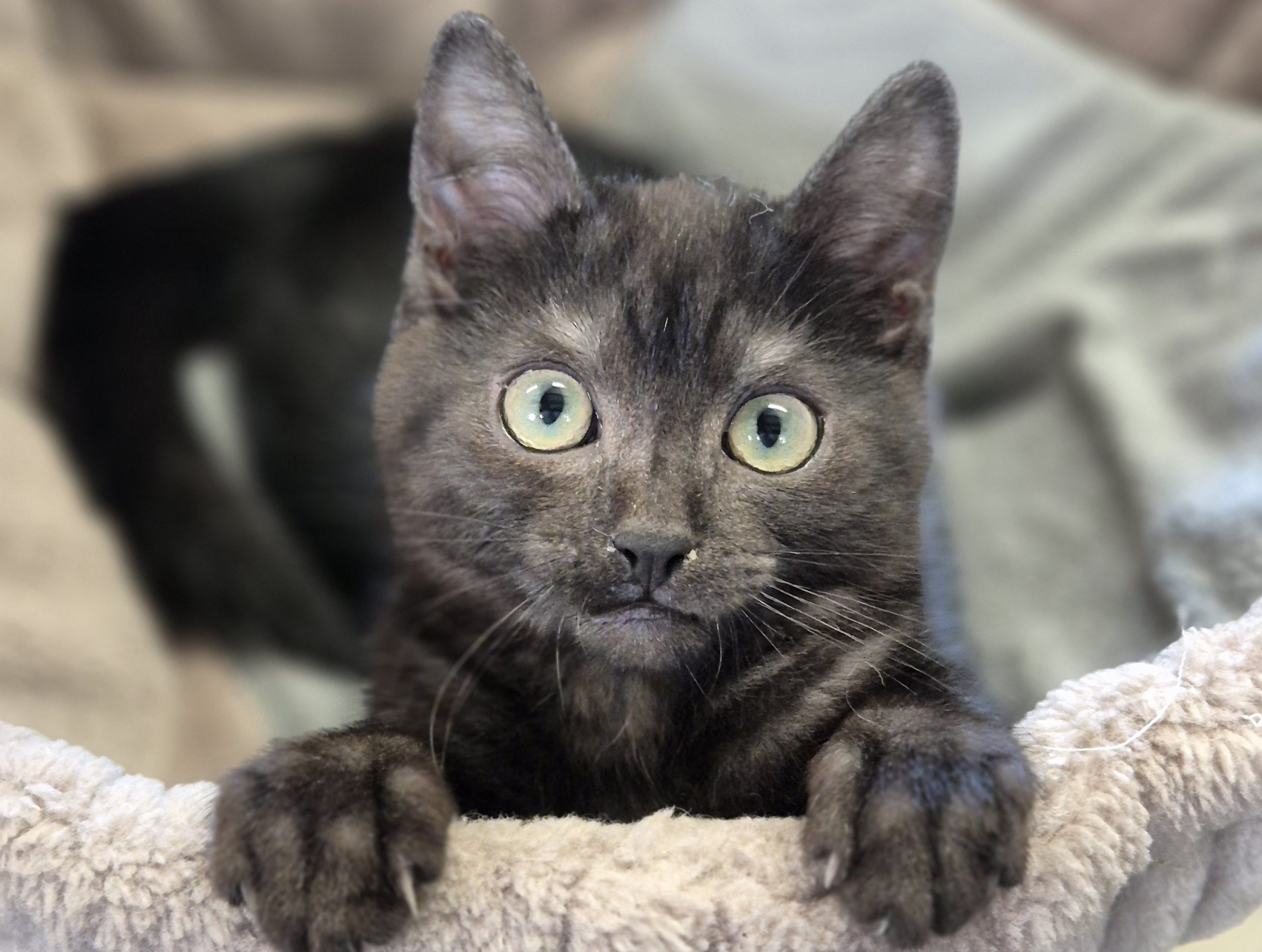 Jamie ... bereit zum Auszug - Vermittelt mit Kasper 04.04.2025 ...