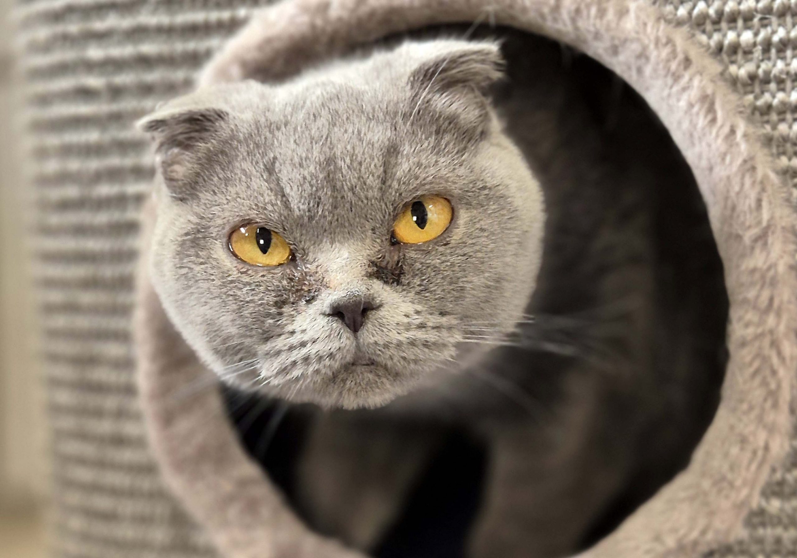Nala ... und täglich grüßt das Murmeltier | TIERHEIM MOERS