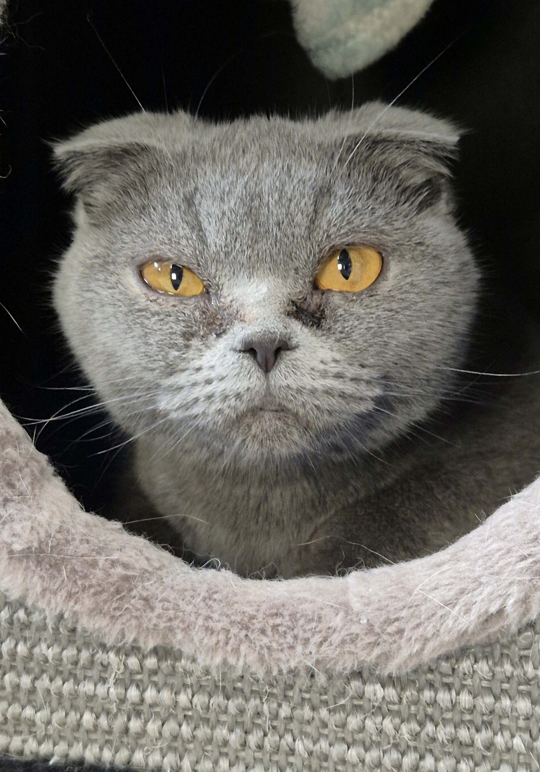 Nala ... und täglich grüßt das Murmeltier | TIERHEIM MOERS